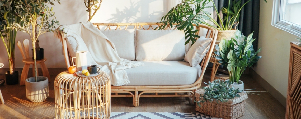 Mây Tre Đà Nẵng, Mây Tre Dì Hải - Dung